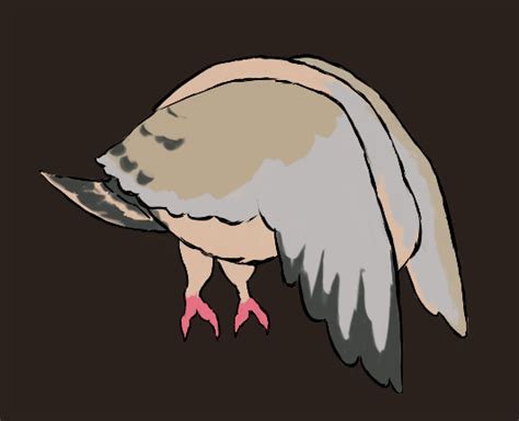 Find More Worms Here