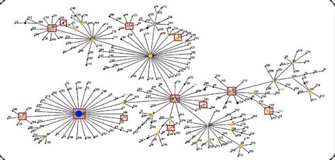 EBurst V3 Analysis Of Staphylococcus Epidermidis CC2 After Adding Our