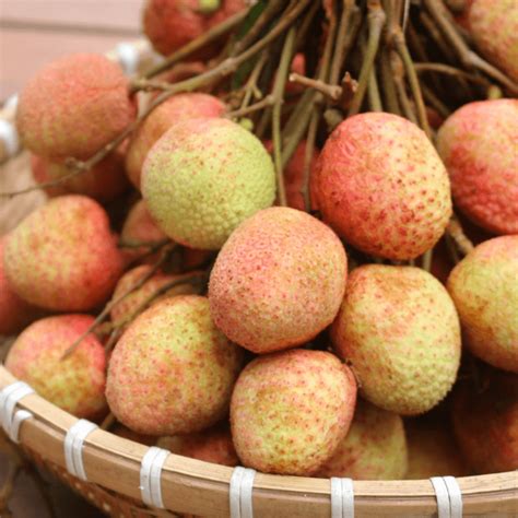 Vải U Hồng Bắc Giang Foodmap Fruits Foodmap