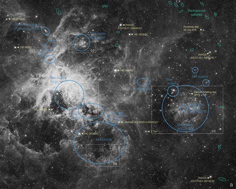 Amazing Hubble Photo Reveals Tarantula Nebulas Star Filled Web Space