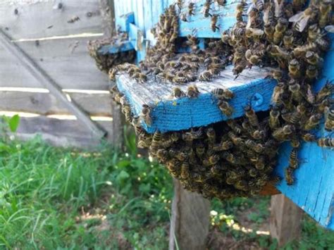 Помилка яка буде вартувати їм щасливого життя Тільки два знаки Зодіаку з 8 по 18 Серпня