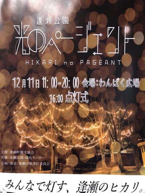 逢瀬公園光のページェント 12月27日 火 まで