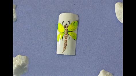 Libelle Malen Step By Step Youtube