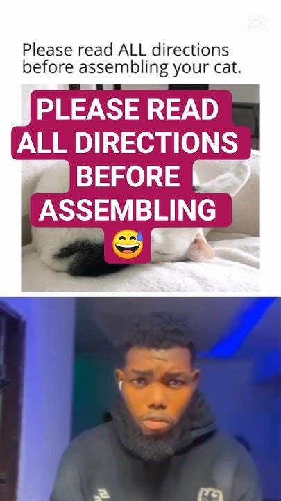 Please Read All Directions Before Assembling Your Cat😂😂😅 Memes Youtube