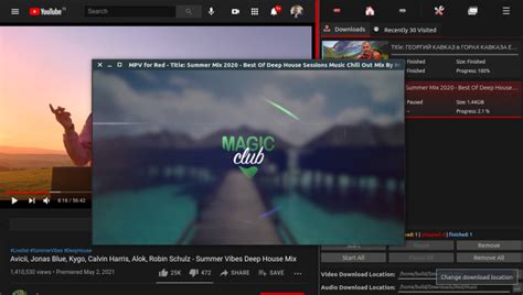 install red youtube client for linux on linux snap store