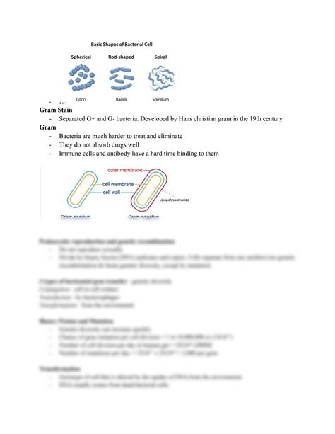 Solution Prokaryotes Bacteria And Archea Studypool