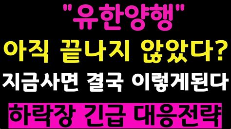유한양행 주가전망 유한양행 아직 끝나지 않았다 지금사면 결국 이렇게 된다 제약바이오 유한양행 주식 주가 긴급 대응전략