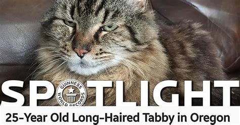 Corduroy The Oldest Living Cat Imgur