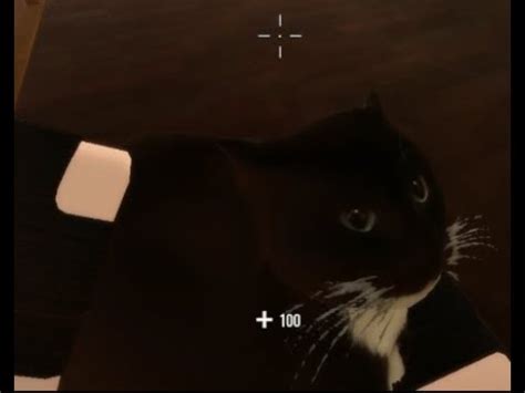 Maxwell My Beloved Youtube