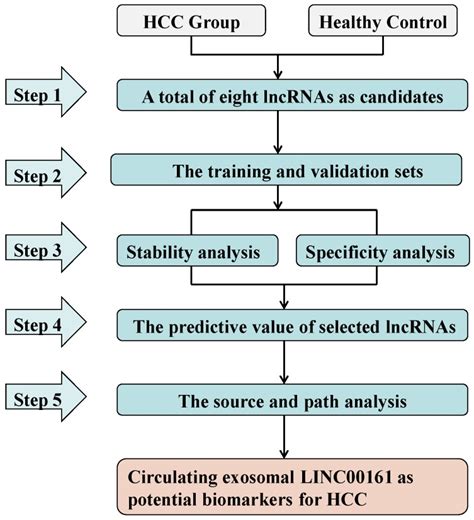 Serum And Exosome Long Non Coding Rnas As Potential Biomarkers For Hepatocellular Carcinoma Pmc