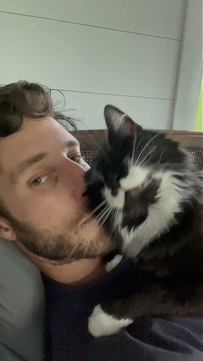 Sweetest Kitten In The Multiverse 😻 Youtube