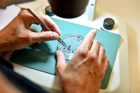 Science Pictures Scientist Testing Seed Viability