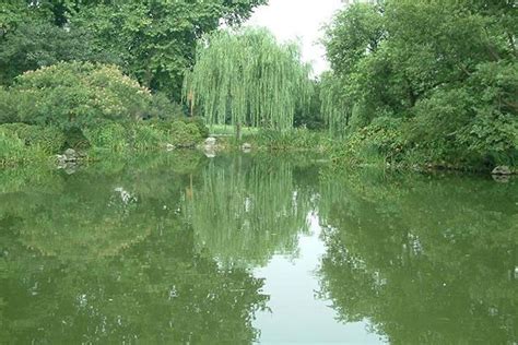 הטהרות דורית יעקובי