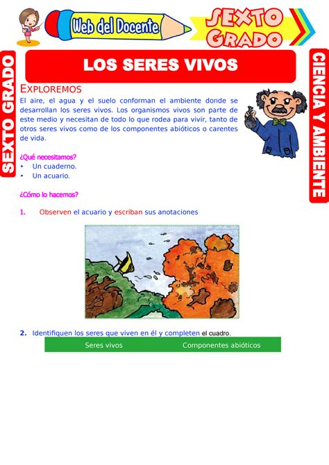 Los Seres Vivos Para Sexto Grado De Primaria EXPLOREMOS El Aire El