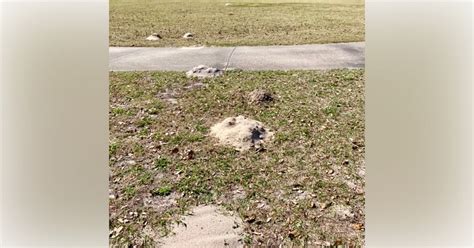 Aac To Consider 14 Million Upgrade For Two Executive Golf Courses