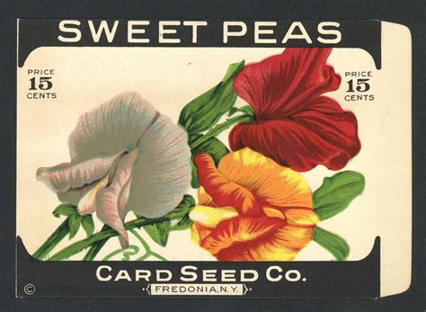 Vintage Seed Packets 1900 1940 Page 8 Thelabelman