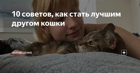 10 советов как стать лучшим другом кошки КотоВедение Зоопсихолог
