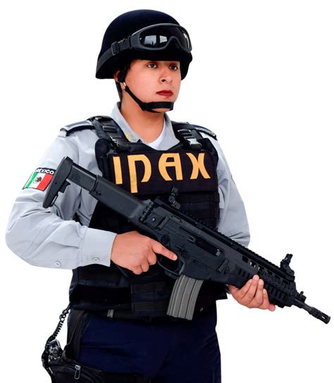 Quiénes somos IPAX