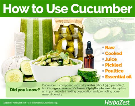 Cucumber Herbazest