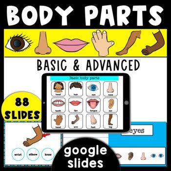 Body Parts Google Slides Basic And Advanced By Angela Christine