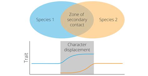 Chapter 11 Speciation A Primer Of Evolution