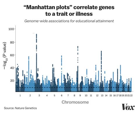 Traits And Genetics Graphs