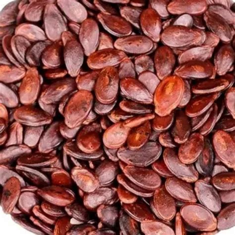 Hybrid Watermelon Seeds At ₹ 700kg Hybrid Watermelon Seeds In Jhansi