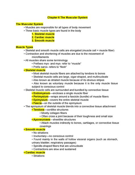 Chapter The Muscular System Chapter The Muscular System The Muscular System Muscles Are