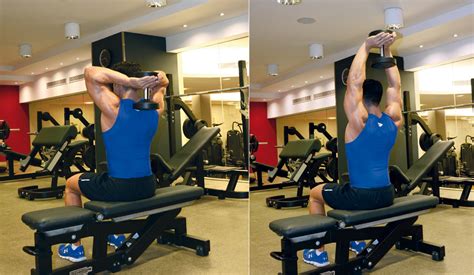 Ejercicios De Triceps Con Mancuernas