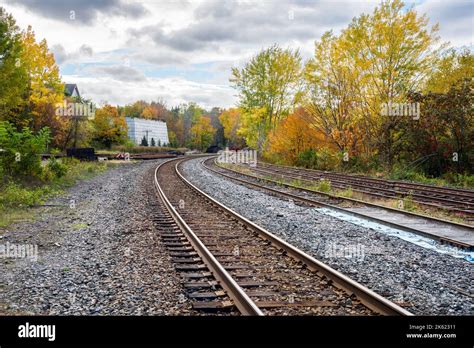 Multiple Railroad Tracks With Switches On A Cloudy Autumn Day