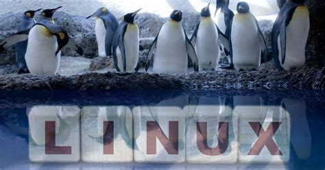 How To Choose The Best Linux Distribution Mr Tech Tools