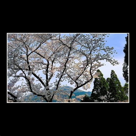 龍潜寺境内からの皿倉山常設展示室北九州市 時と風の博物館