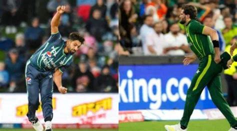 Shaheen Afridi Resumes Rehab Haris Rauf Called For Assessment Of His