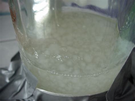 Fermentation Experiments