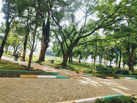 Kakamega Muliro Gardens New Hot Photos Fasci Garden