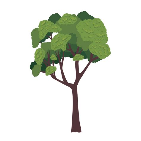 Green Tree Plant Vector Art At Vecteezy