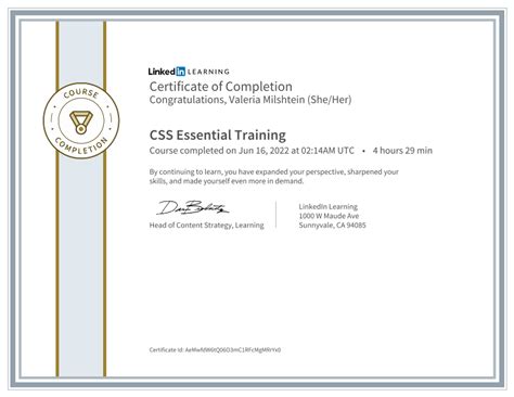Valeria Milshtein Sheher 🇺🇦 On Linkedin Certificate Of Completion