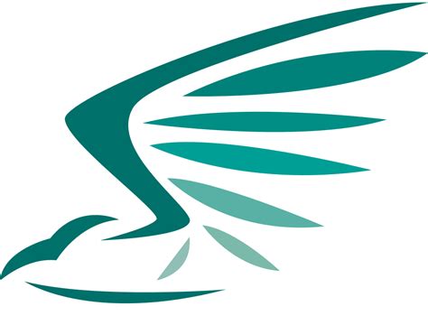 Hawk 36662943 Vector Art At Vecteezy