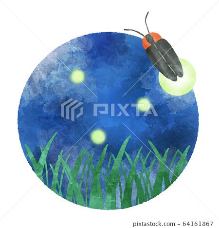 螢火蟲圖水彩風格 插圖素材 64161867 PIXTA圖庫