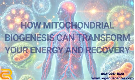 How Mitochondrial Biogenesis Can Transform Your Energy And Recovery