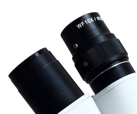 232mm To 305mm Microscope Conversion Adapter Omax