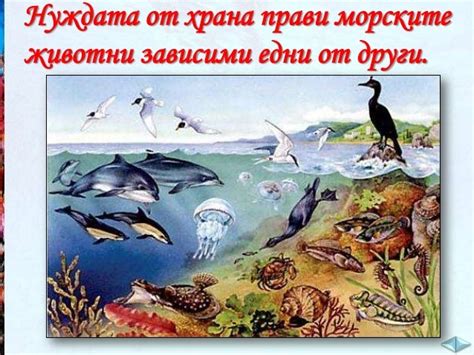 Животните във водата ЧП 3 клас Булвест