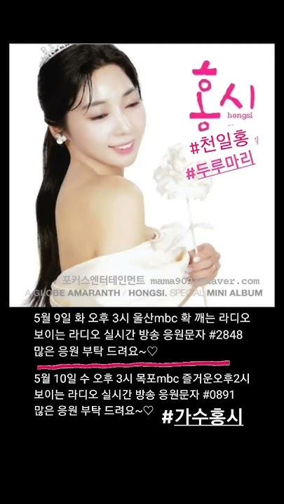 가수홍시 천일홍 두루마리 Youtube