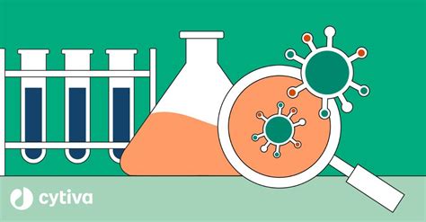 Bce Vietnam On Linkedin Biacore™ Spr Systems For Titer Analysis Of