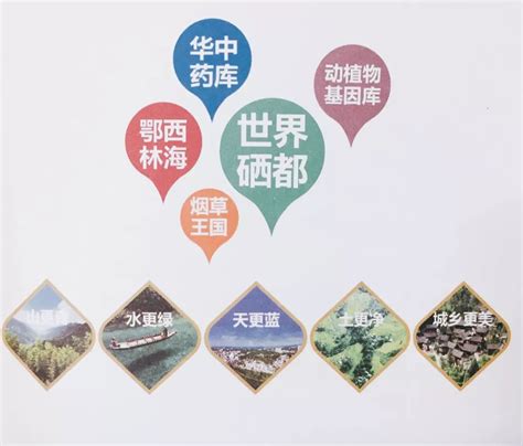 全民科学补硒日，身为恩施人，这些知识你要知道！荆楚号荆楚网湖北日报网