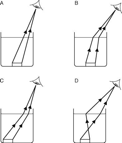 Which Diagram Shows The Correct Rays Science Success
