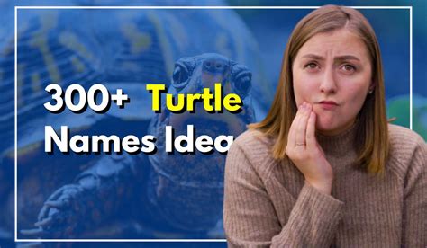 300 New Turtle Names Idea To Try With Your Tiny Friend Now