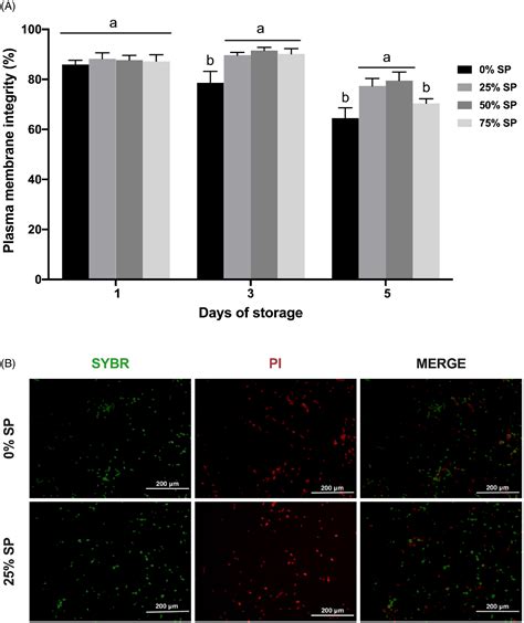 Boar Seminal Plasma Improves Sperm Quality By Enhancing Its Antioxidant Capacity During Liquid