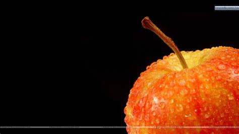 Eating Wallpapers Top Free Eating Backgrounds Wallpaperaccess