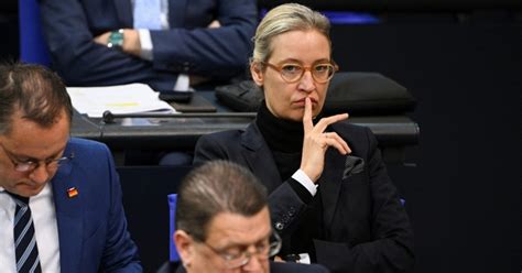 독일 극우 정당 대표 집권하면 ‘독일 Eu 탈퇴 국민투표 할 것”